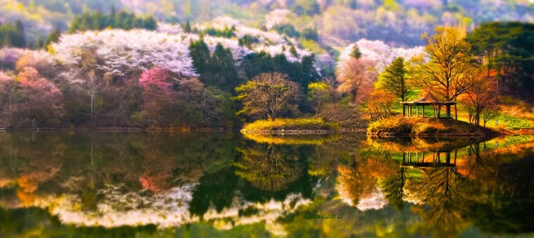 Photos : Les paysages magnifiques en reflet de Jaewoon U - #Olybop