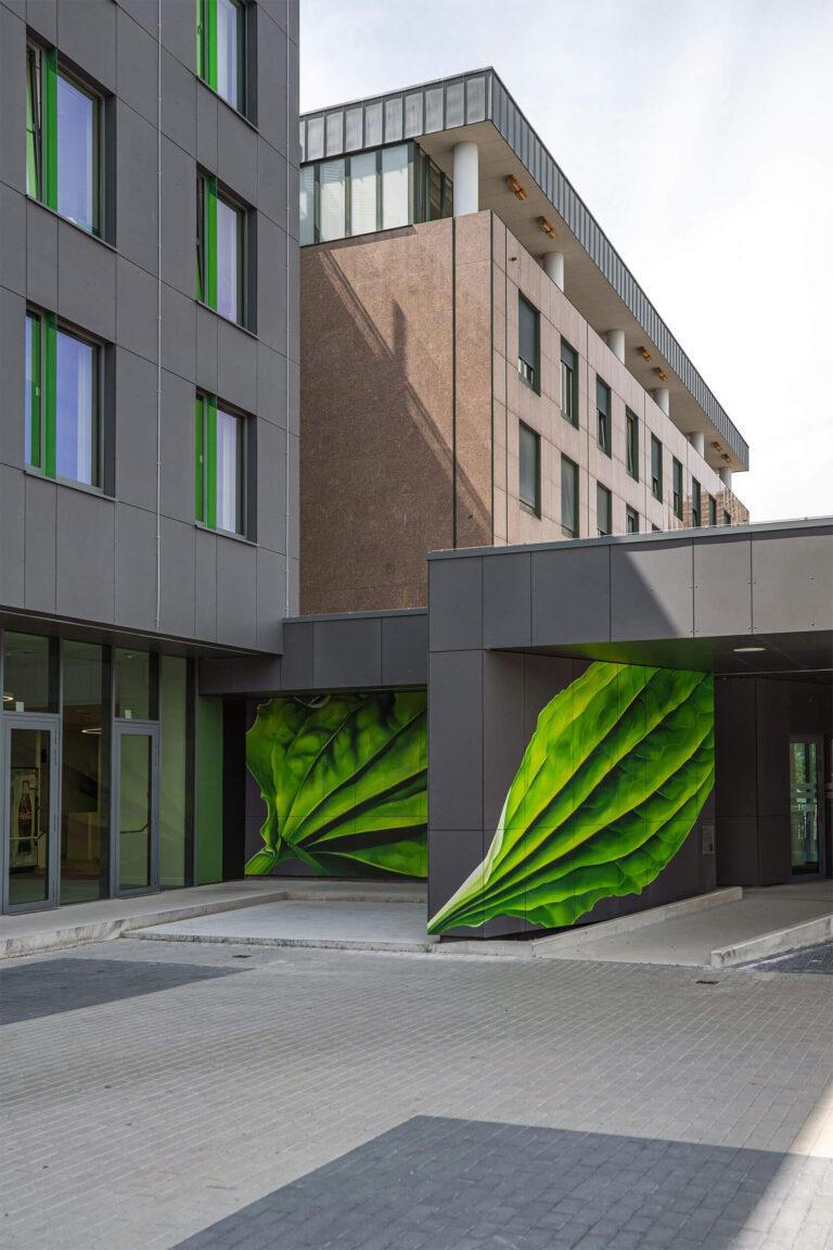 Street Art Nature par Adele Renault - #Olybop