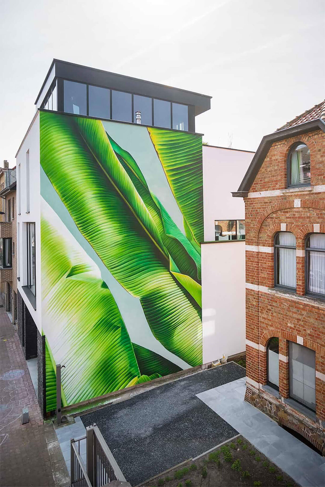 Street Art Nature par Adele Renault - #Olybop